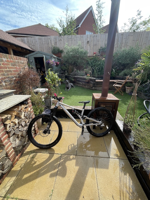 2019 Specialized stunt jumper evo For Sale