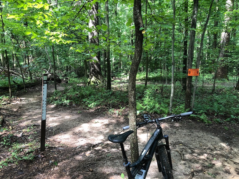 7 Mile Flow loop Mountain Biking Route | Trailforks