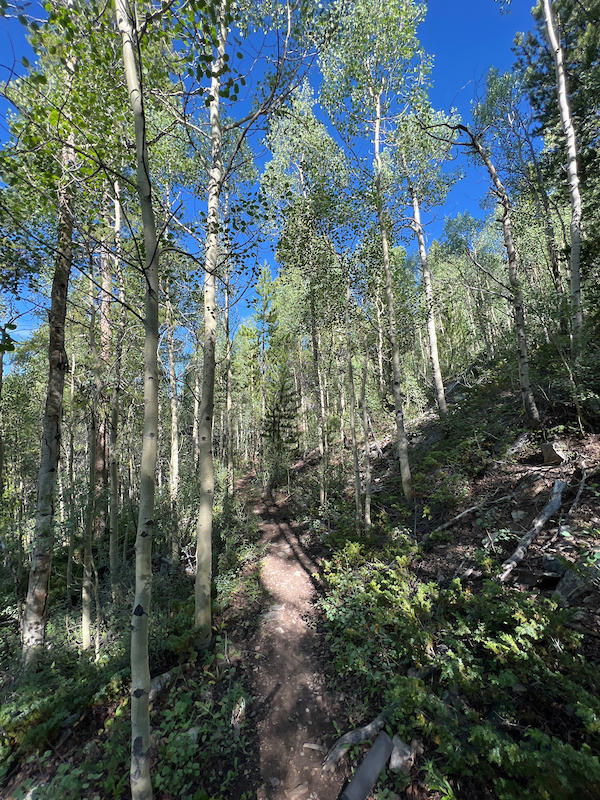 Yellow Brick Rd Mountain Biking Trail - Breckenridge, CO
