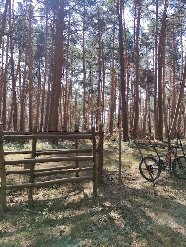 Libarache Multi Trail - Nieva de Cameros, Logroño