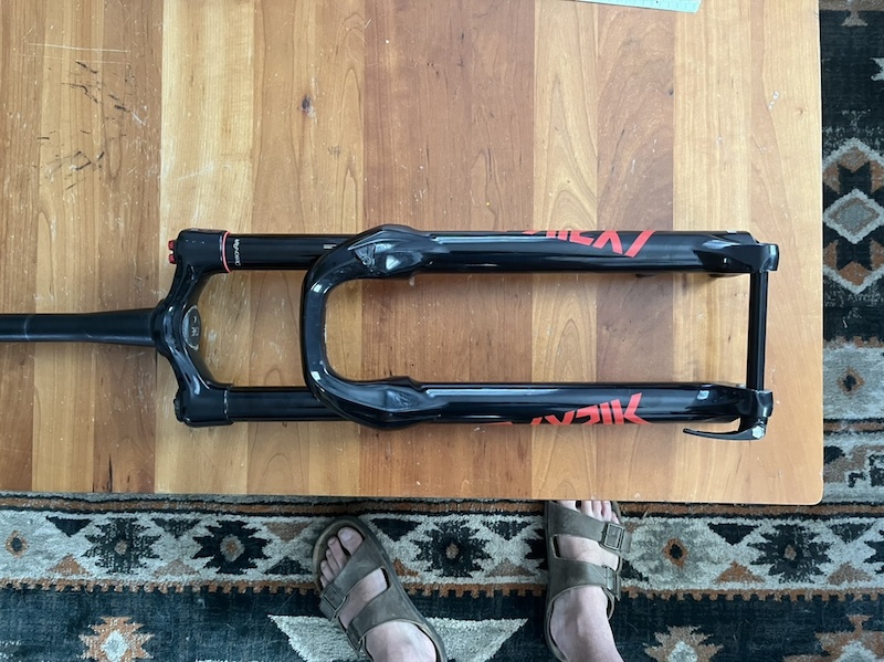 2020 Lyrik Ultimate with DSD Runt For Sale