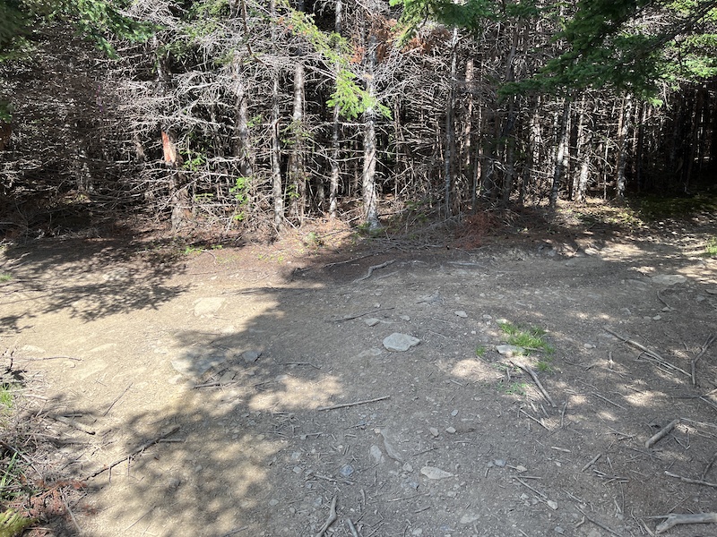 Bell Island, Newfoundland Mountain Biking Trails | Trailforks