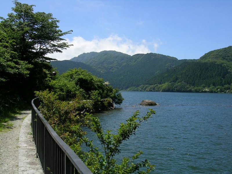 Lake Ashi Trail East End (Tori Gate Path) Mountain Biking Trail - Hakone