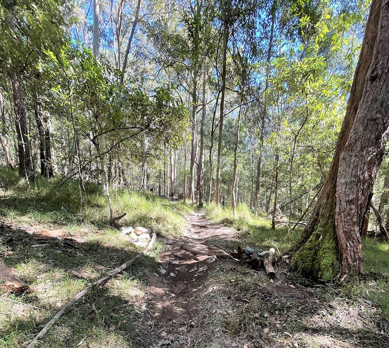 Ragle Ranch Regional Park Mountain Biking Trails | Trailforks