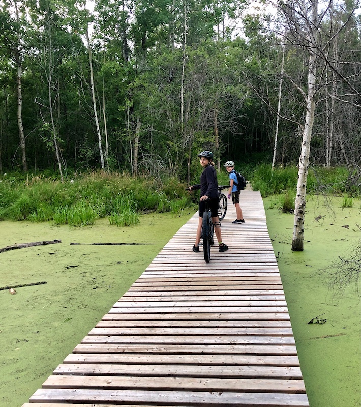 Shirley Lake Trail Multi Trail - - Alberta | Trailforks