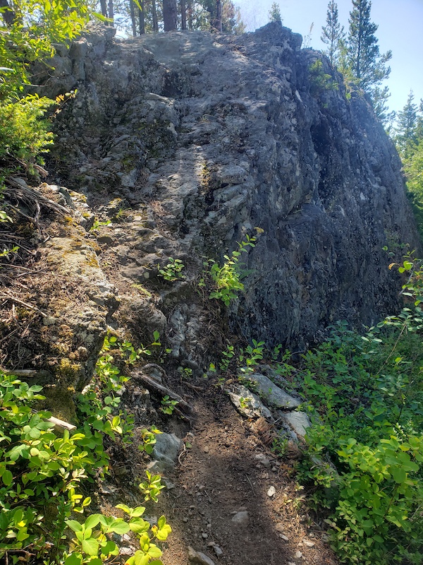 Rockasaurus Mountain Biking Trail - Quesnel, BC