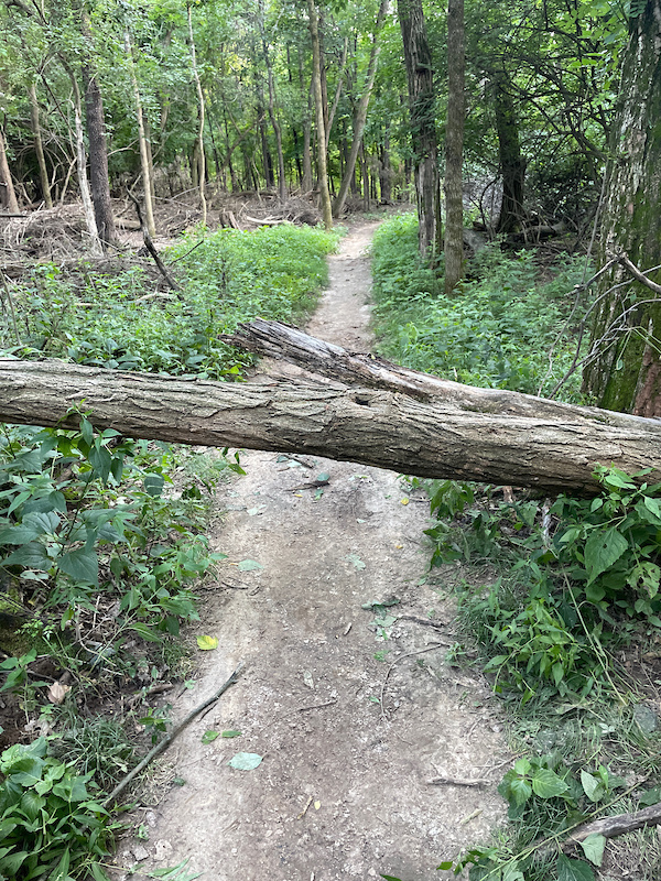 Bluff Trail - South Loop Multi Trail - St. Louis, MO