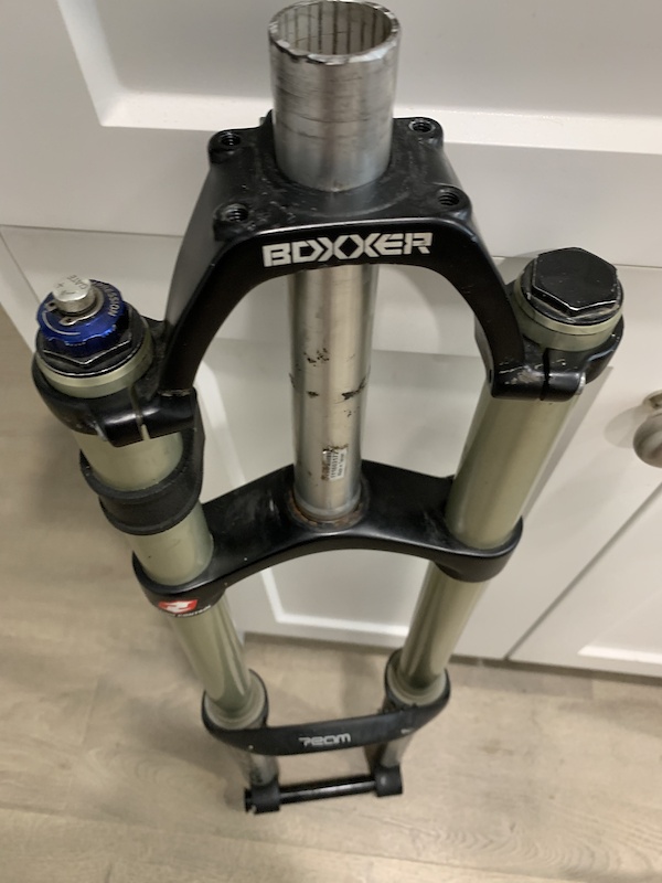 Boxxer For Sale