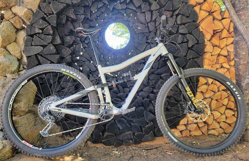 2021 Custom Ibis Ripmo AF Large For Sale