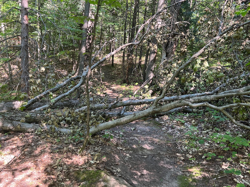 2021 Epic Loop | Trailforks