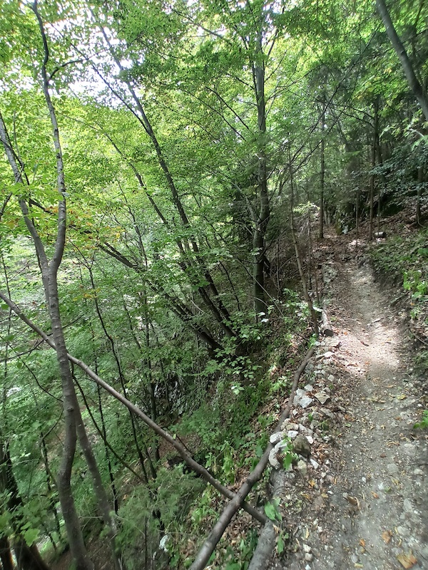 Konjska smrt Mountain Biking Trail - Slovenske Konjice