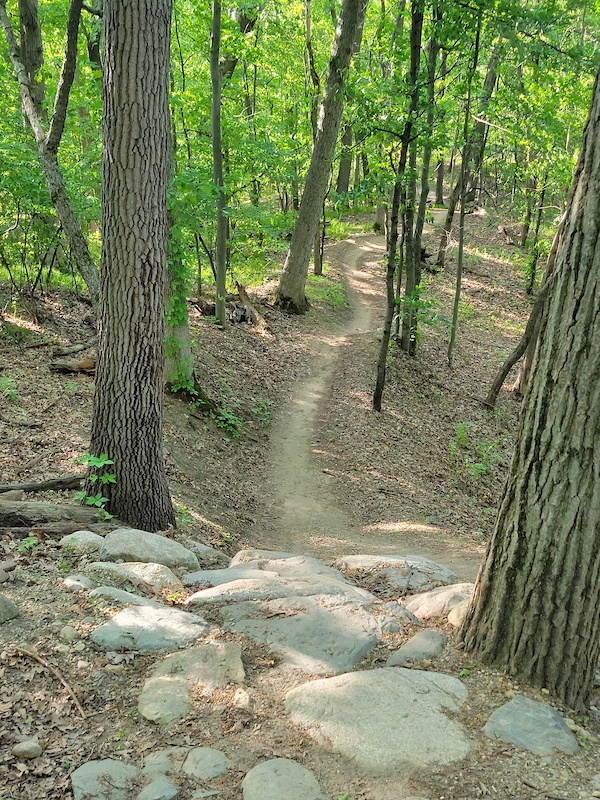 Beach to Inner Roller Coaster to Bee Line Mountain Biking Route ...