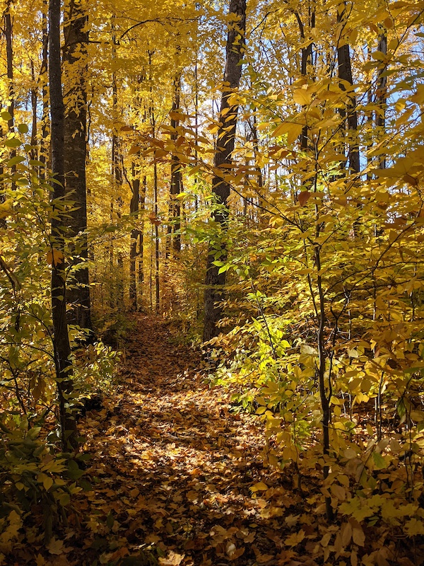 High Country Pathway - From Scenic Road 2 Mountain Biking Trail ...