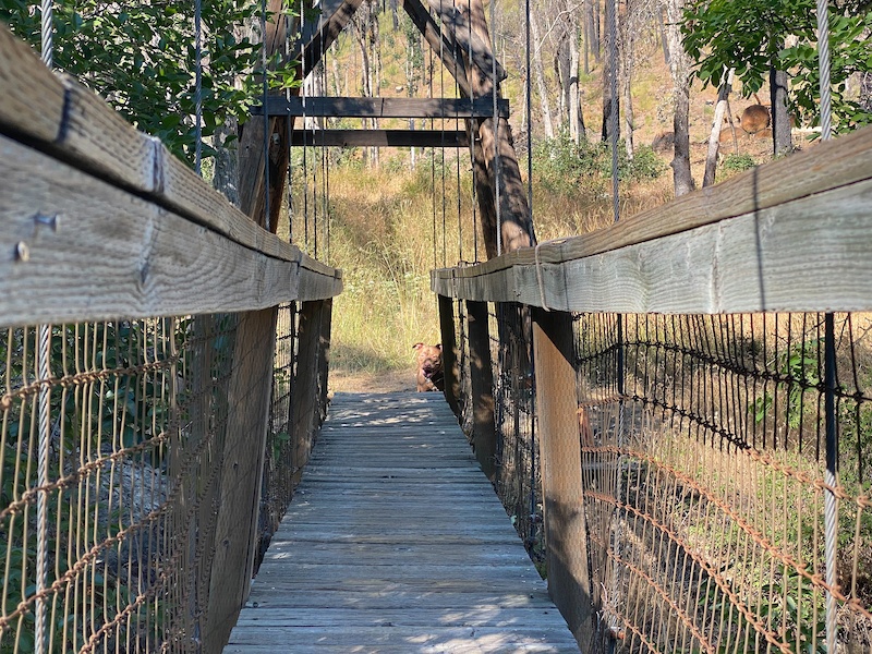 South Fork Trinity River Trails Mountain Biking Trails | Trailforks