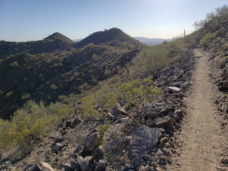 Saguaro Family Loop Multi Trail - Peoria, Arizona