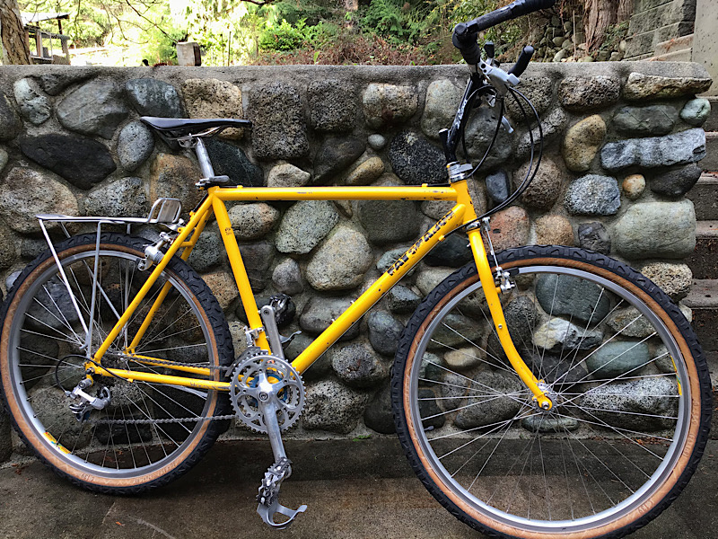 Fat Chance - Wicked #2 - 19.5" - 1989 For Sale