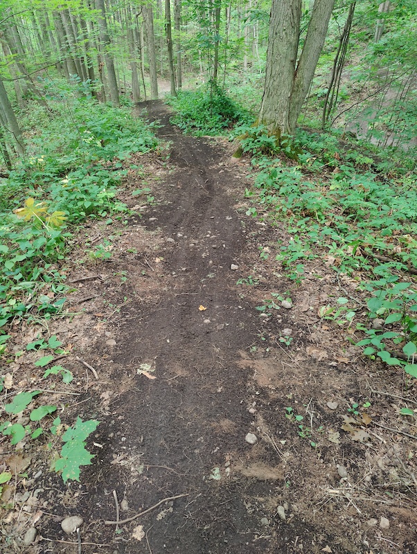 Winter Hike to Durham Forest Hiking Route | Trailforks