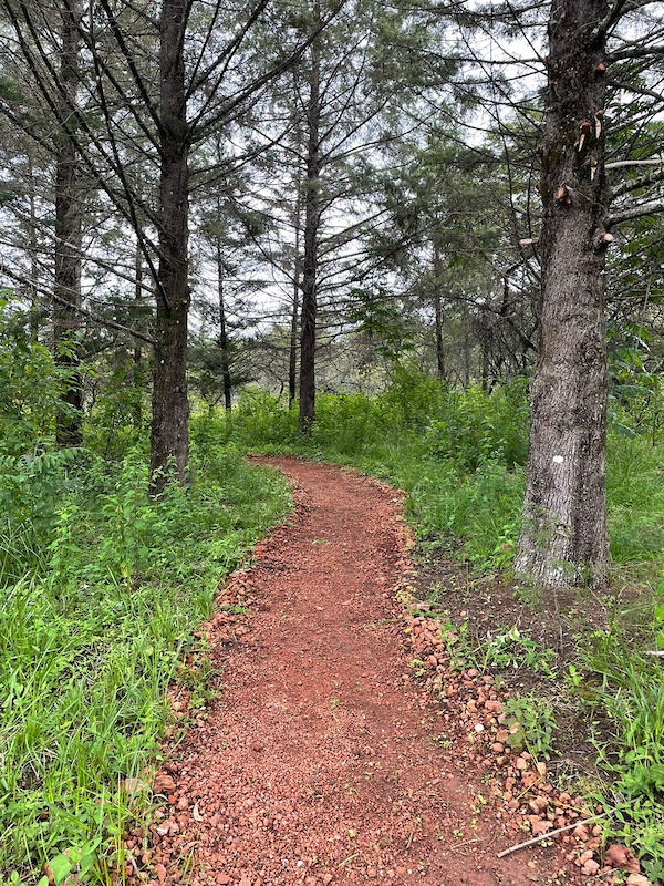 Valle San Nicolas Trail Network Mountain Biking Trails | Trailforks