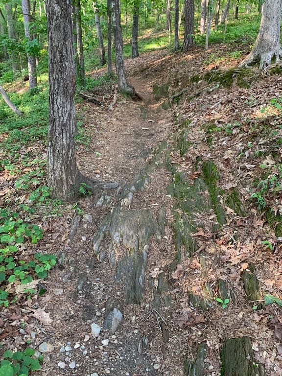 Rock Chute Multi Trail - Woodstock, Georgia | Trailforks