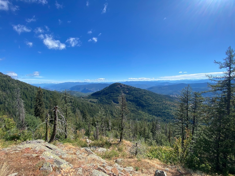 Aug 28, 2022 Mt Roberts Trail Report | Trailforks