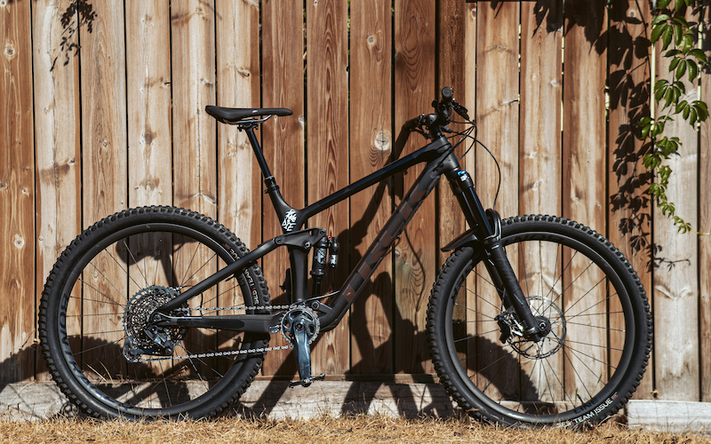 2022 Medium/Large Trek Remedy 9.8 For Sale