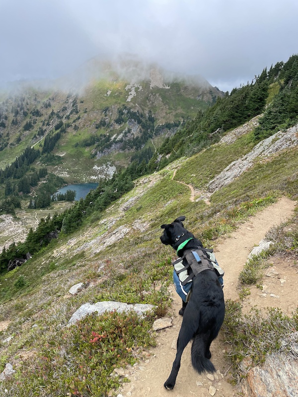 White Pass Pilot Ridge Loop Trail Hiking Route | Trailforks
