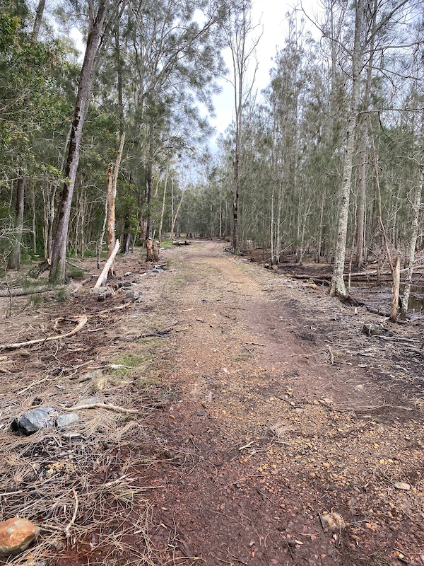 Coombabah Lakelands Conservation Area, Gold Coast Mountain Biking ...