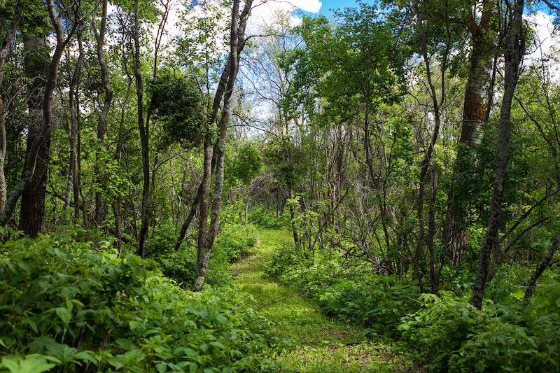 Wapasu Multi Trail - Innisfree, Alberta | Trailforks