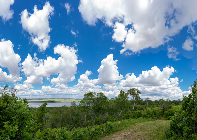 Wapasu Multi Trail - Innisfree, Alberta | Trailforks