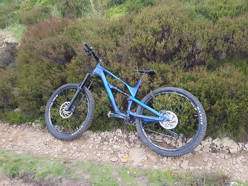 2018 Canyon Spectral AL 5.0 Large For Sale