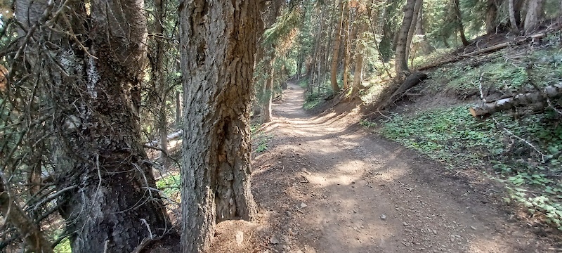 Mormon Canyon Trail Trail Running Trail - Pocatello