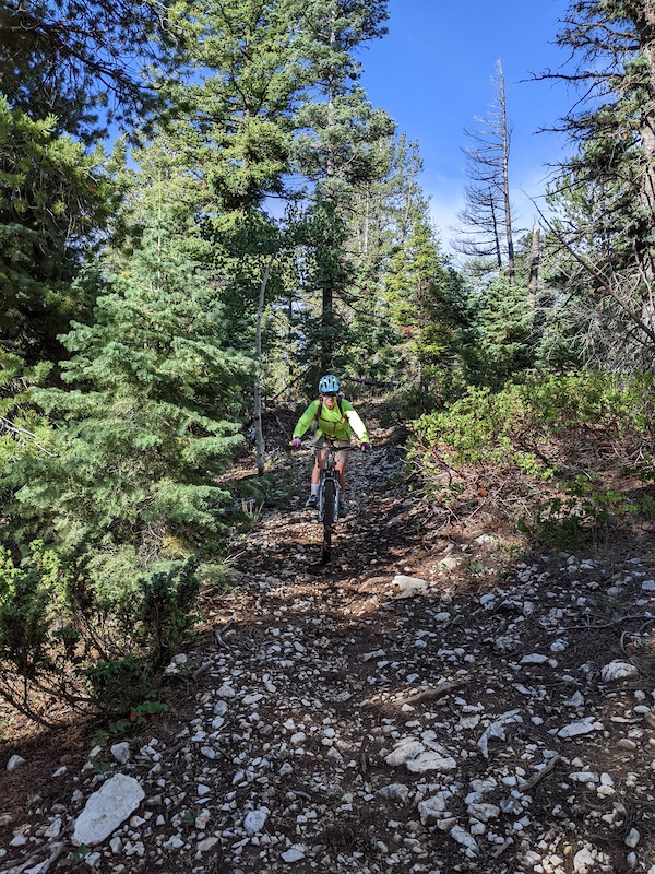 Virgin River Rim Mountain Biking Trail - Brian Head, Utah