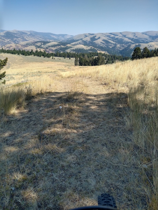 Skidway Multi Trail - Townsend, Montana | Trailforks