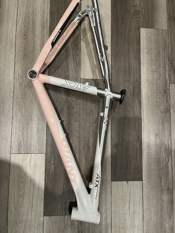 2010 GIANT ATX Frame Small For Sale