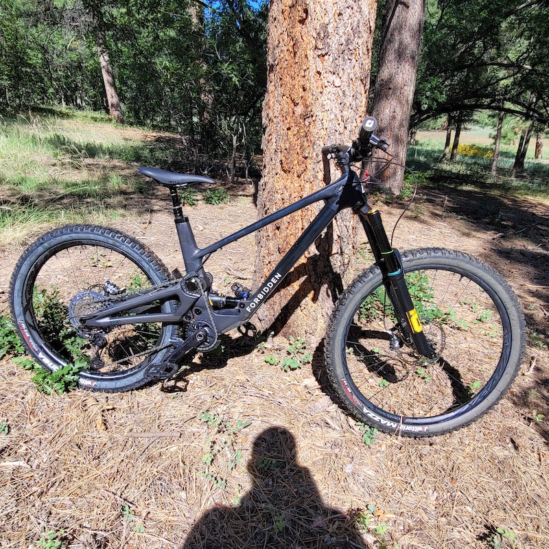 2021 Large Forbidden dreadnought custom build For Sale