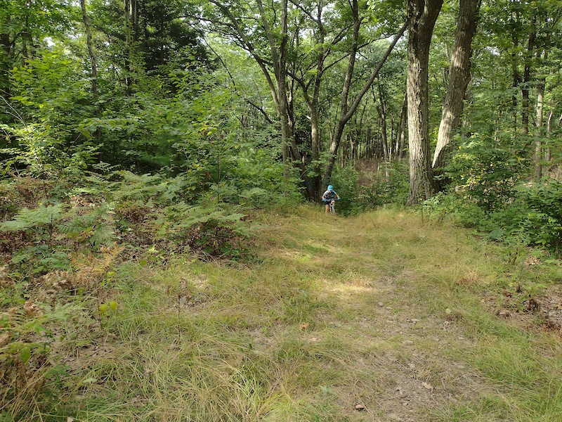 Plantation Trail Multi Trail - Wellsboro, Pennsylvania