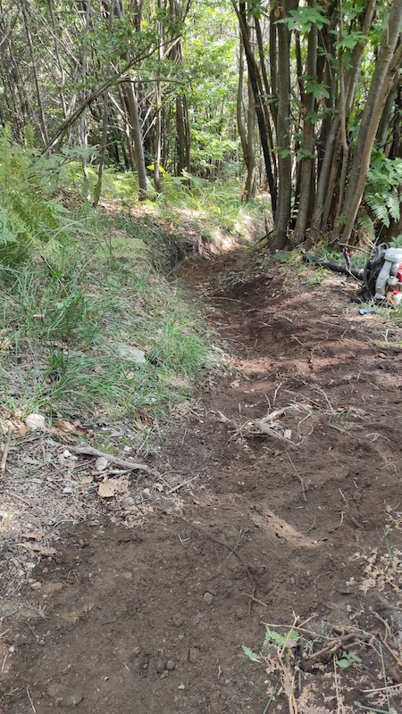 Trail dei Berm Mountain Biking Trail - | Trailforks
