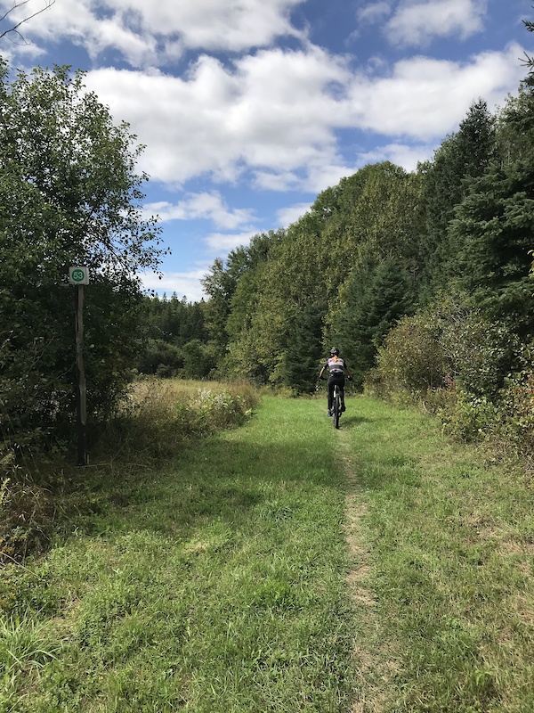 Lay-Allen Preserve, Old Lyme Mountain Biking Trails | Trailforks