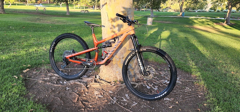 2022 Canyon Spectral AL 6 L For Sale