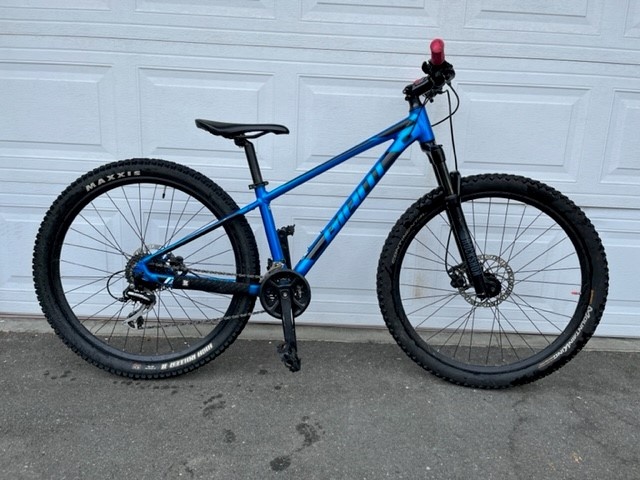 2020 Giant Talon 3 For Sale