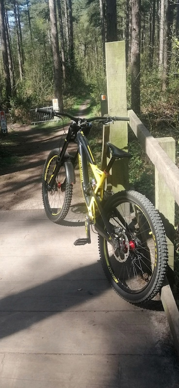 2018 Polygon dh9 For Sale