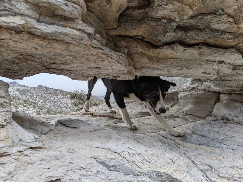 Notch Peak Hiking Trail - Fillmore, UT | Trailforks