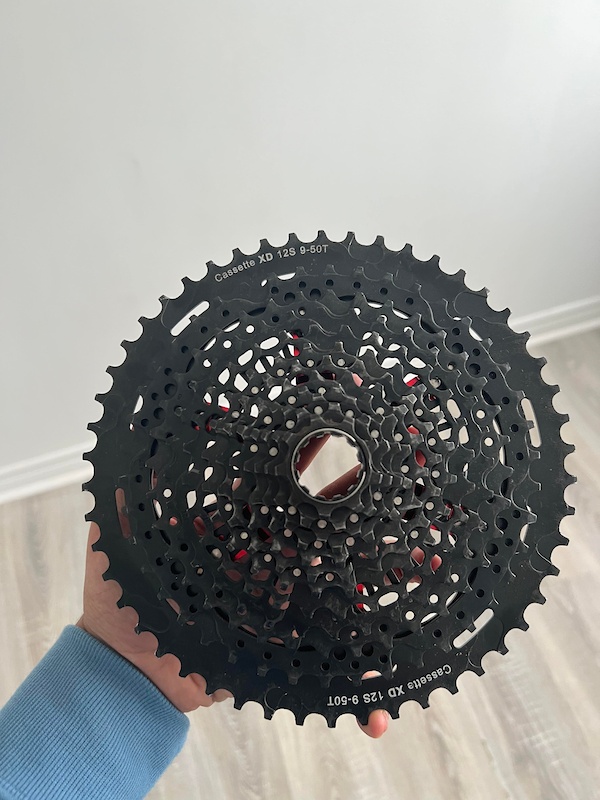 2022 12 speed cassette for xd driver For Sale