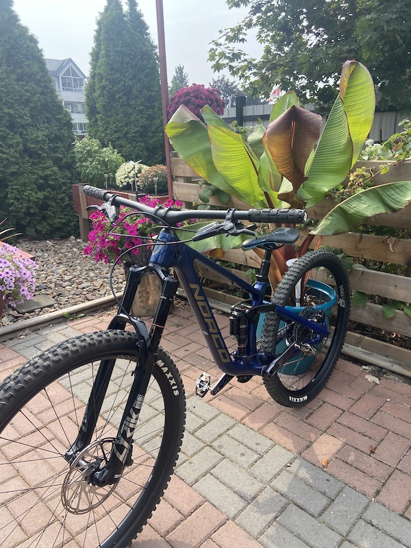 2021 MINT CONDITION Norco Sight C1 Small 29 For Sale