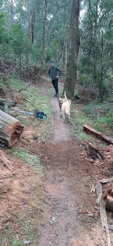 Indigo Epic - Birthday Route Mountain Biking Trail - Yackandandah