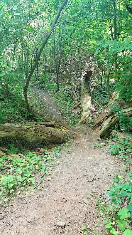 GPS Trail Mountain Biking Trail - Hamilton, Ontario