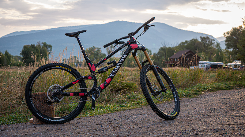 2020 Canyon Torque CF 9.0 Custom Paint For Sale