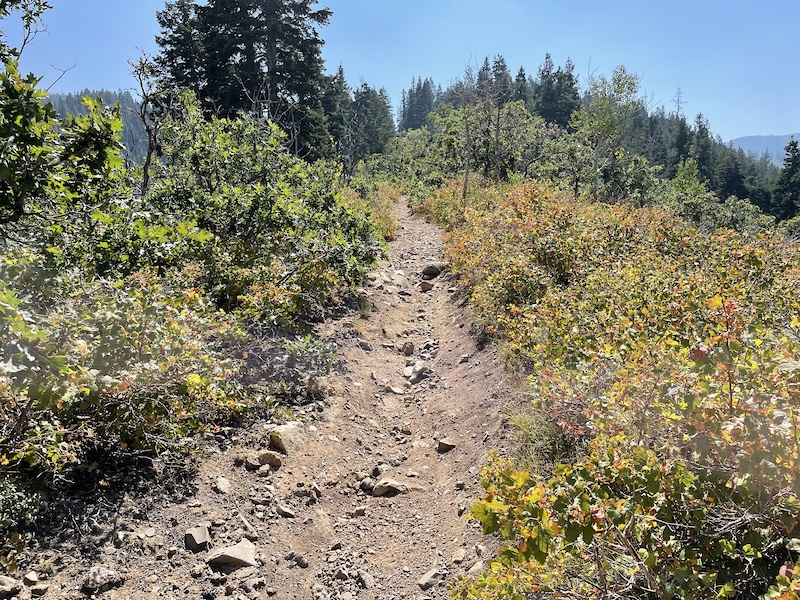 Ontario Ridge Multi Trail - Park City, Utah | Trailforks