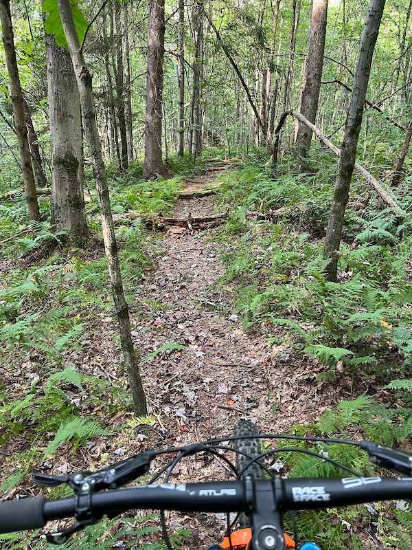 Two Mile Run County Park Mountain Biking Trails | Trailforks