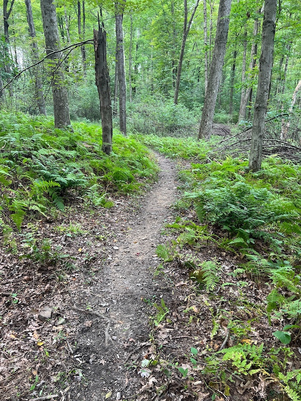 Two Mile Run County Park Mountain Biking Trails | Trailforks